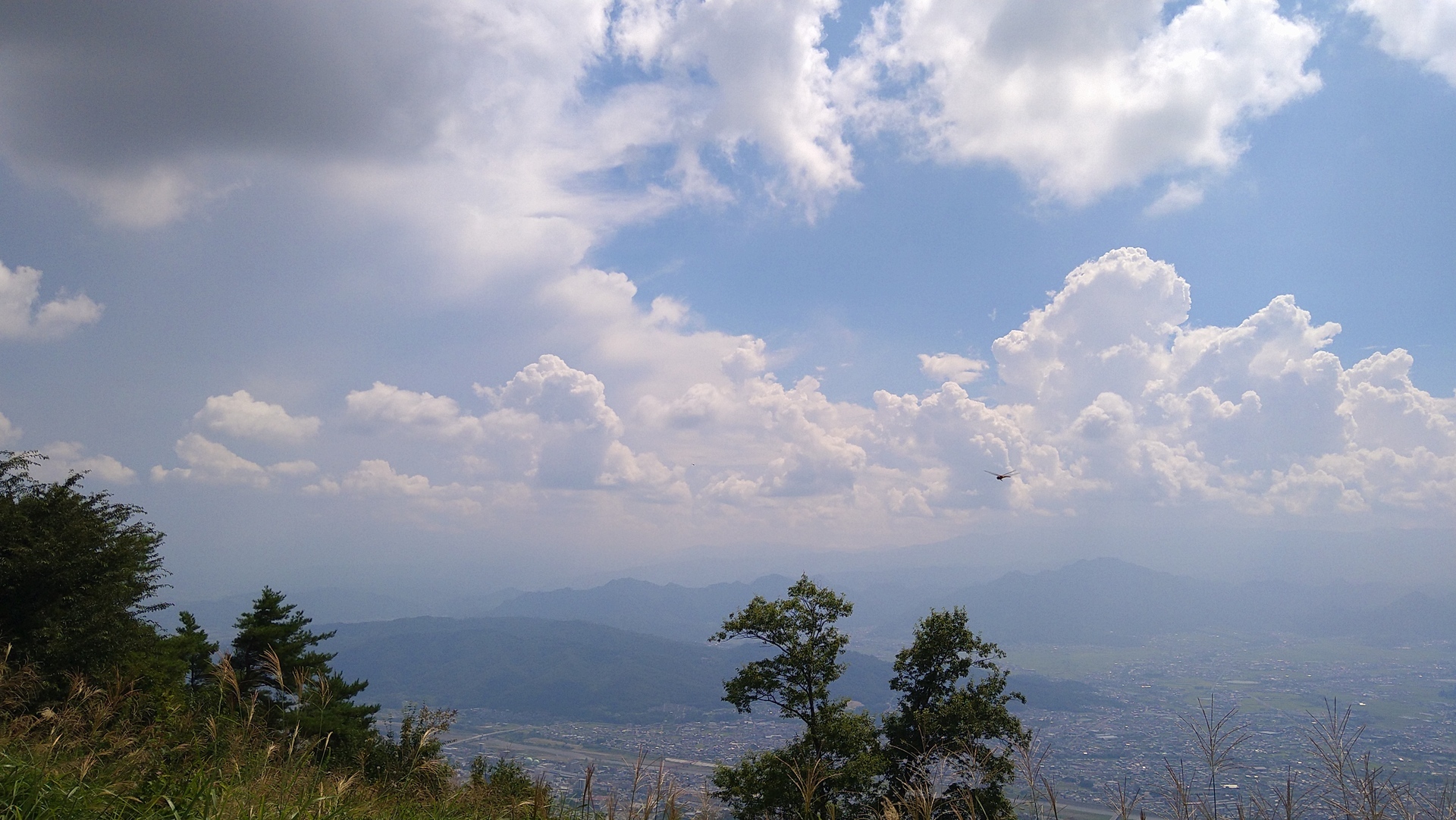 犀川殖産: でんちゃんの太朗山と釣り